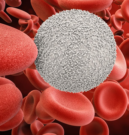 Hematology & Blood Disorders